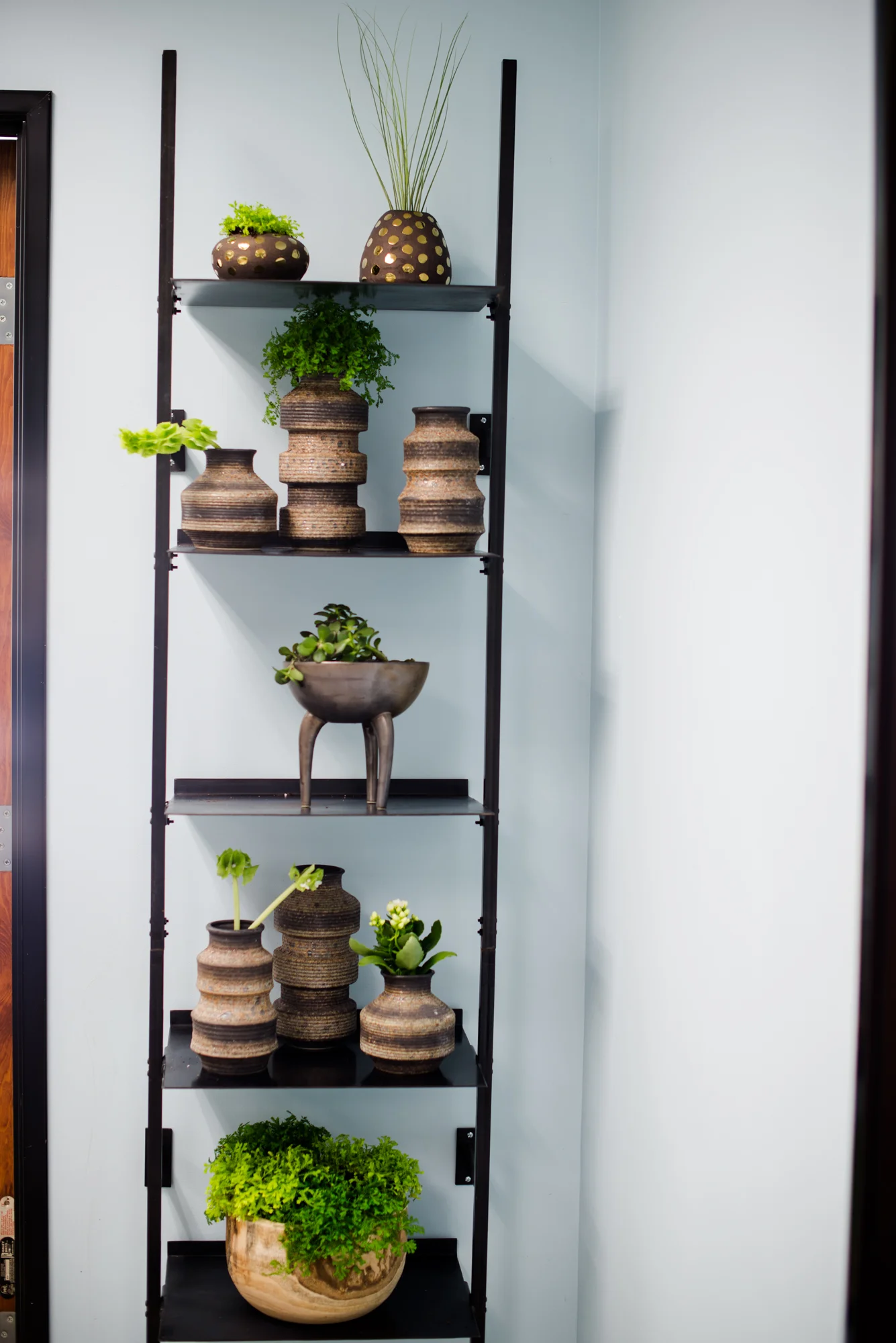 Decor — AddLife | Detailed Interior Landscaping