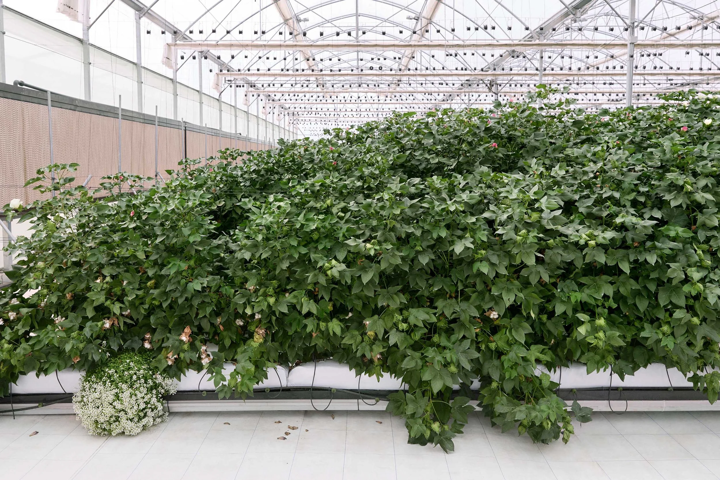 JON CARDWELL | Commercial Photographer - Professional Photography ...