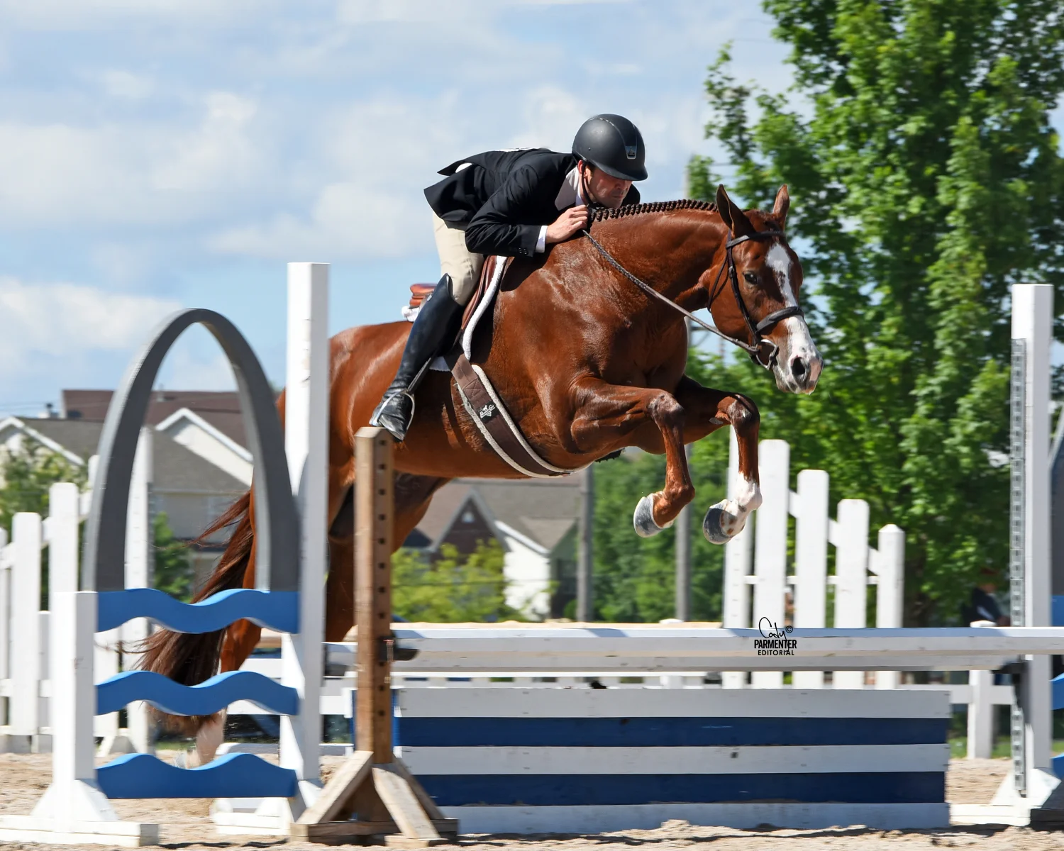 Chestnut Quarter Horse Jumping