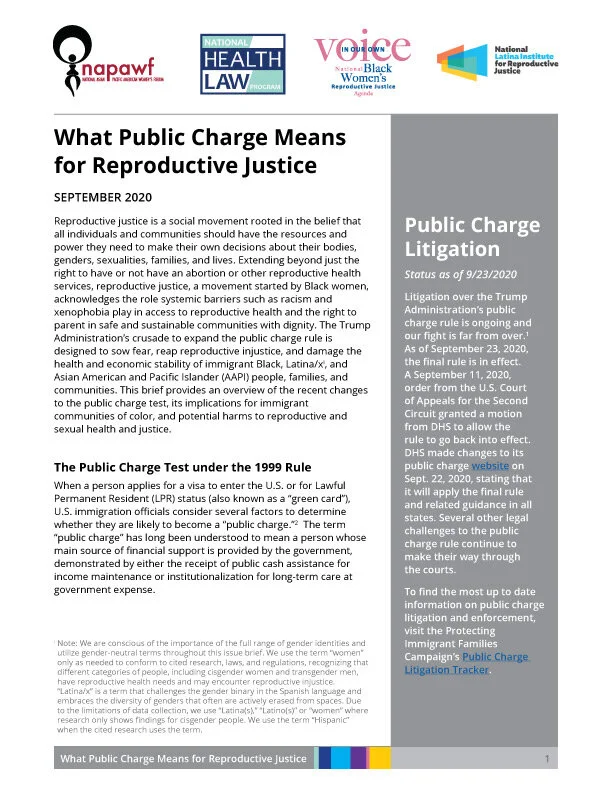 Economic Justice — NAPAWF