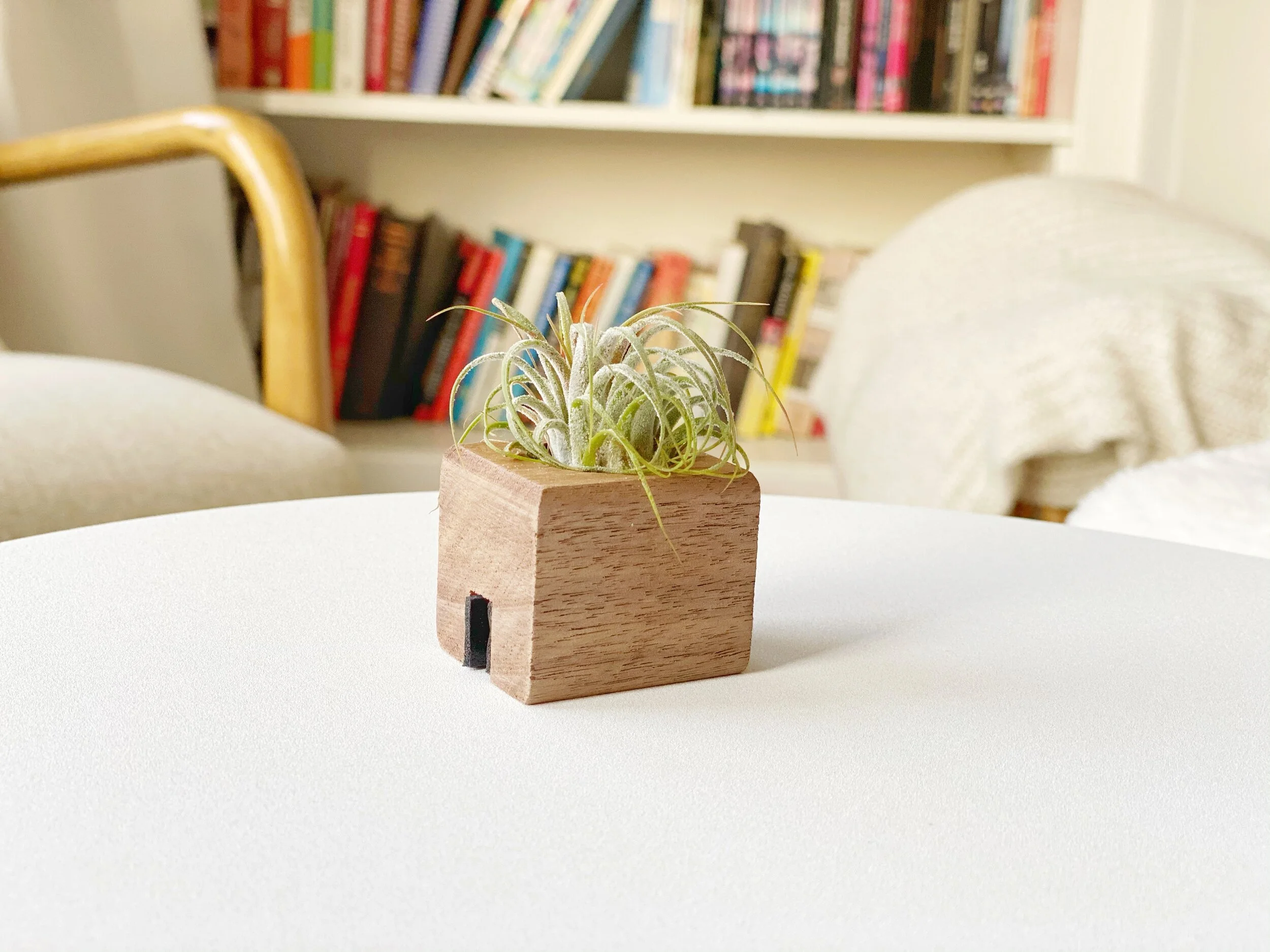 Privacy Planter & Camera Cover — The Little Shop of Horticulture