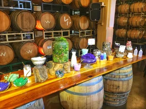 The Plant & Terrarium Bar — The Little Shop of Horticulture