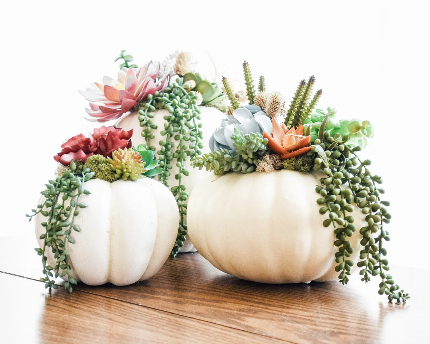 Seasonal Workshops — The Little Shop of Horticulture