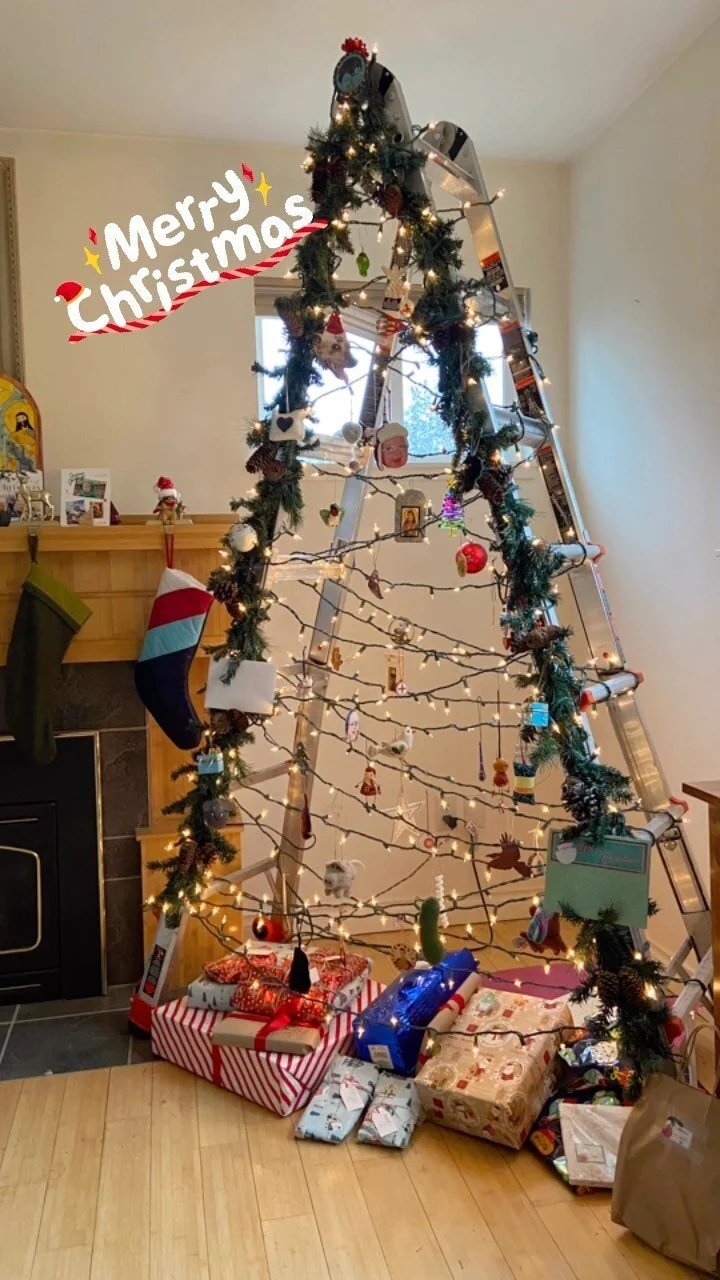 Dr. Mandi Murtaugh Physical Therapy + Yoga