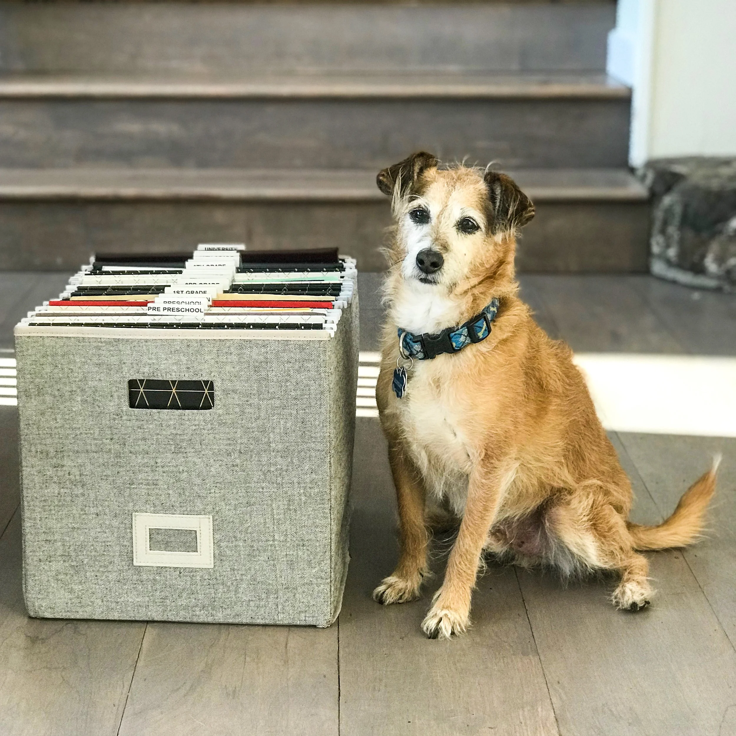 Keeping Track of Kids' Papers — Tidy Nest | KonMari Consultant Arkansas