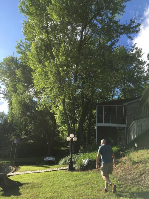 When You're Done Tidying... — Tidy Nest | KonMari Consultant Arkansas