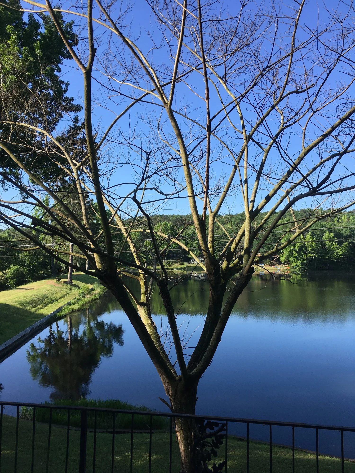 When You're Done Tidying... — Tidy Nest | KonMari Consultant Arkansas