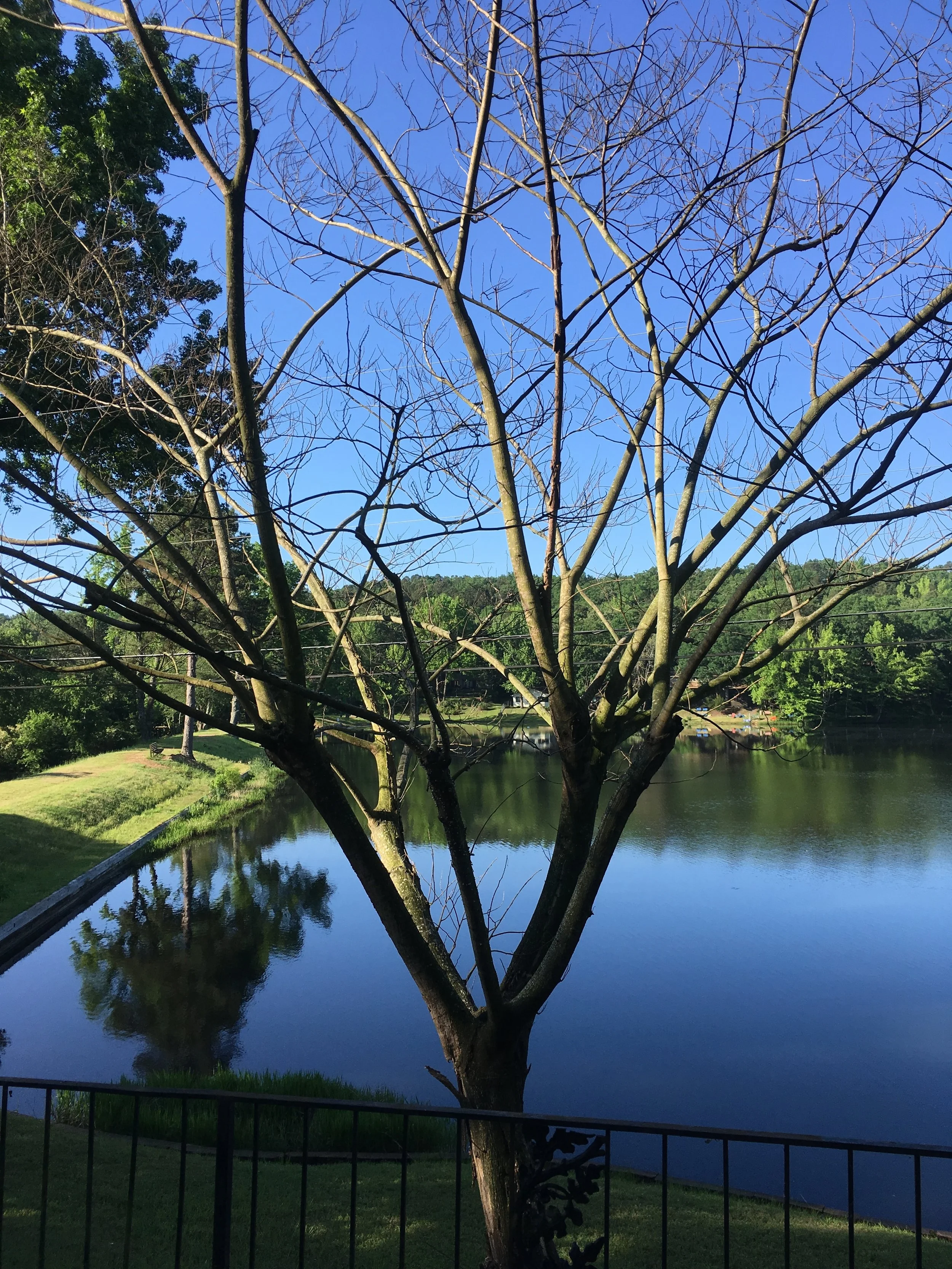 When You're Done Tidying... — Tidy Nest | KonMari Consultant Arkansas