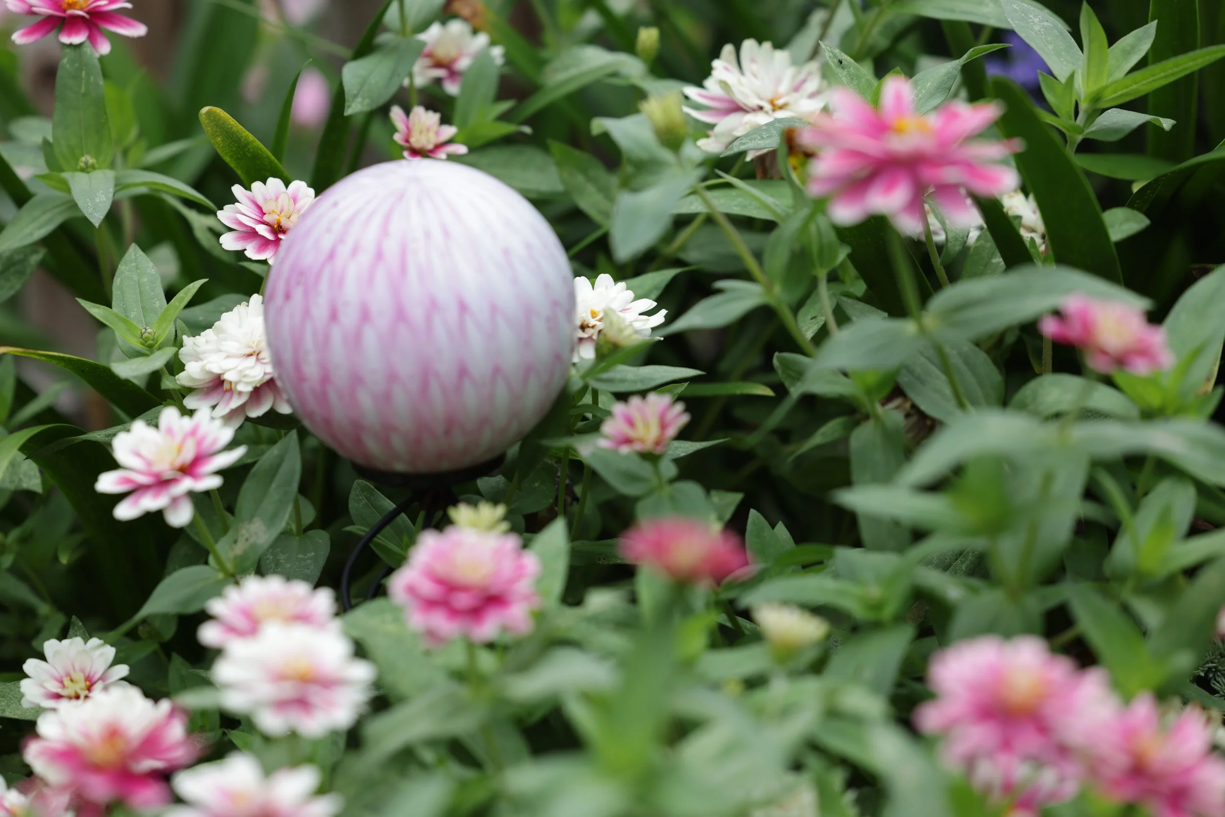 Learn to Garden — HortTube with Jim Putnam