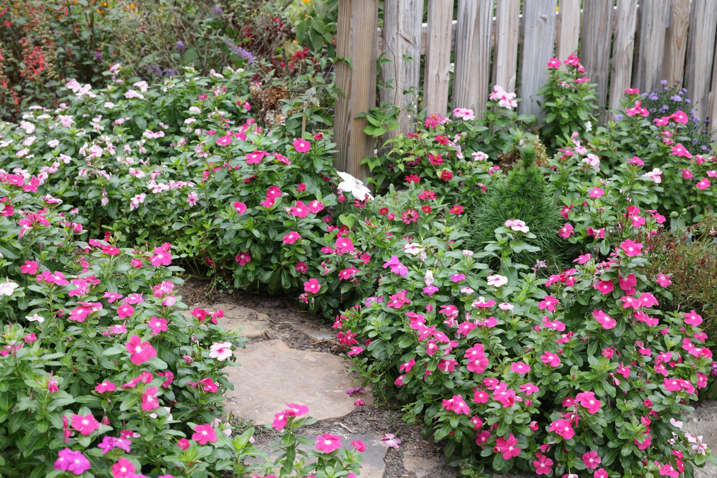 HortTube with Jim Putnam