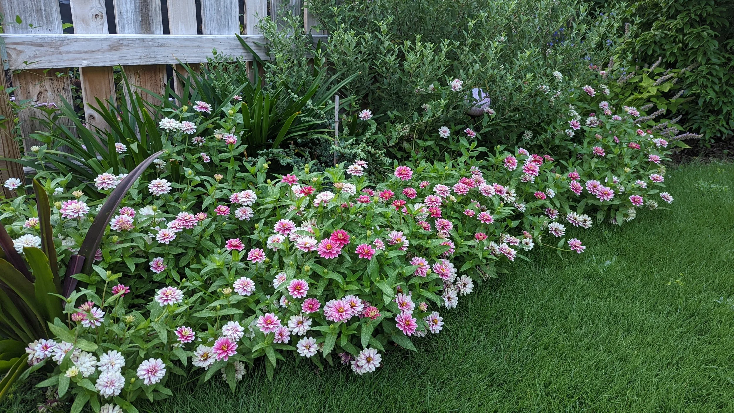 Store — HortTube with Jim Putnam