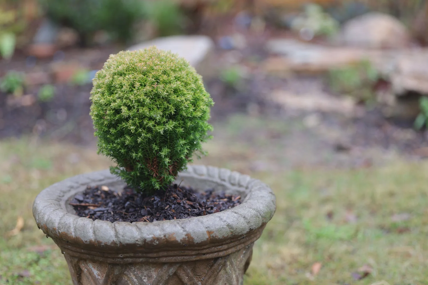 Store — HortTube with Jim Putnam