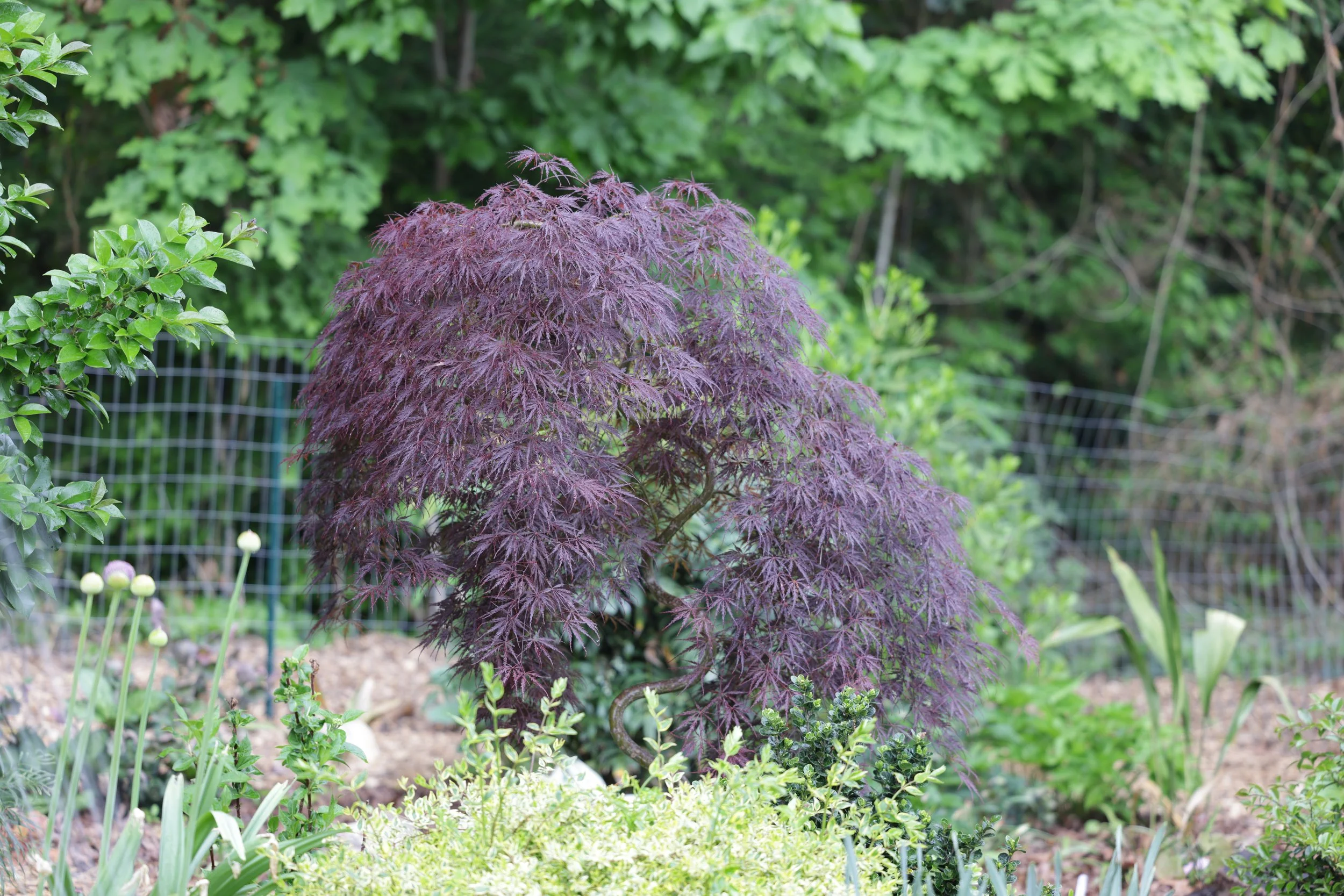 Learn to Garden — HortTube with Jim Putnam