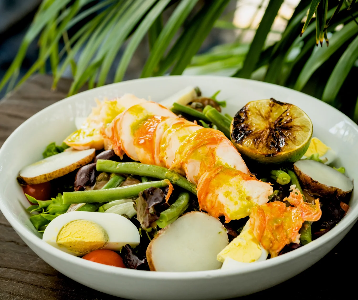 Breakfast & Lunch Menu — Moondog Cafe Key West