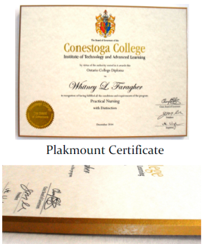 Plak Mounting — PictureThisFraming