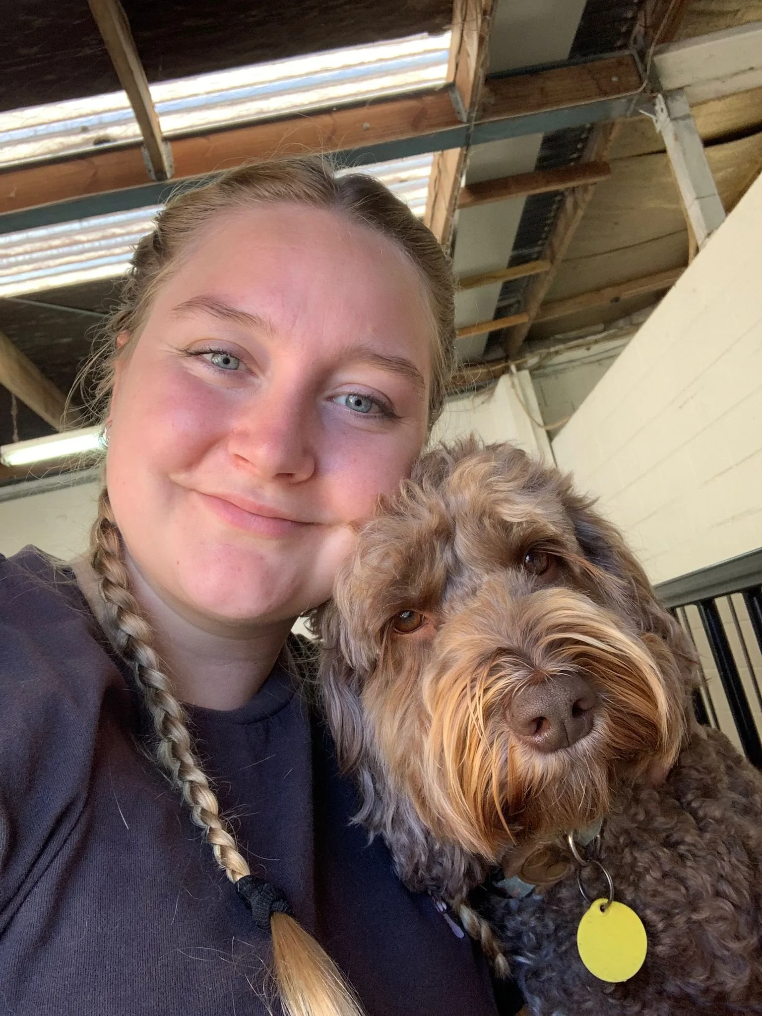 Meet the Pack — Jolly Dogs