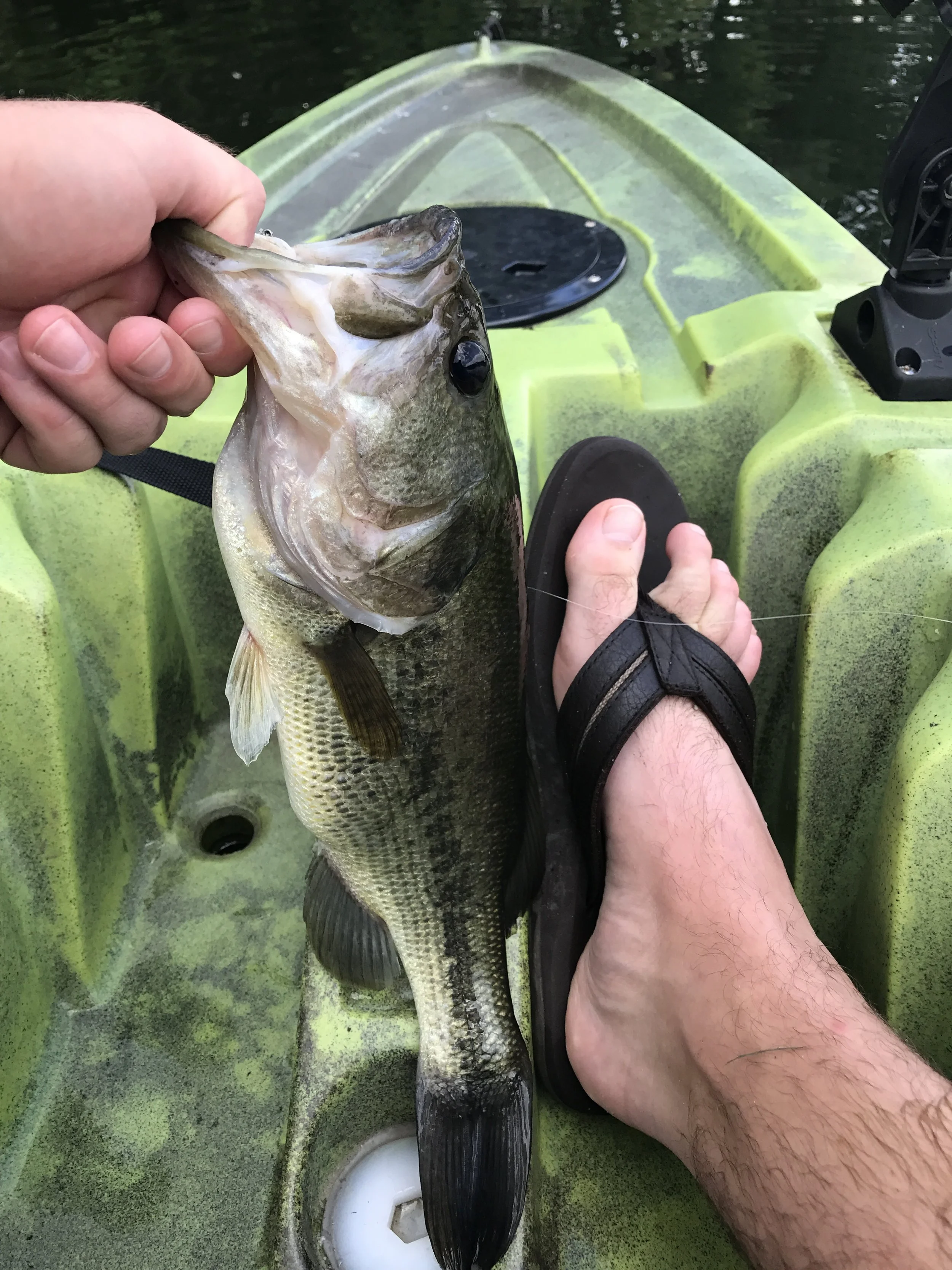 Pre-Frontal Bass-Patterning Bonanza — The Average Joe's Fishin' Co.