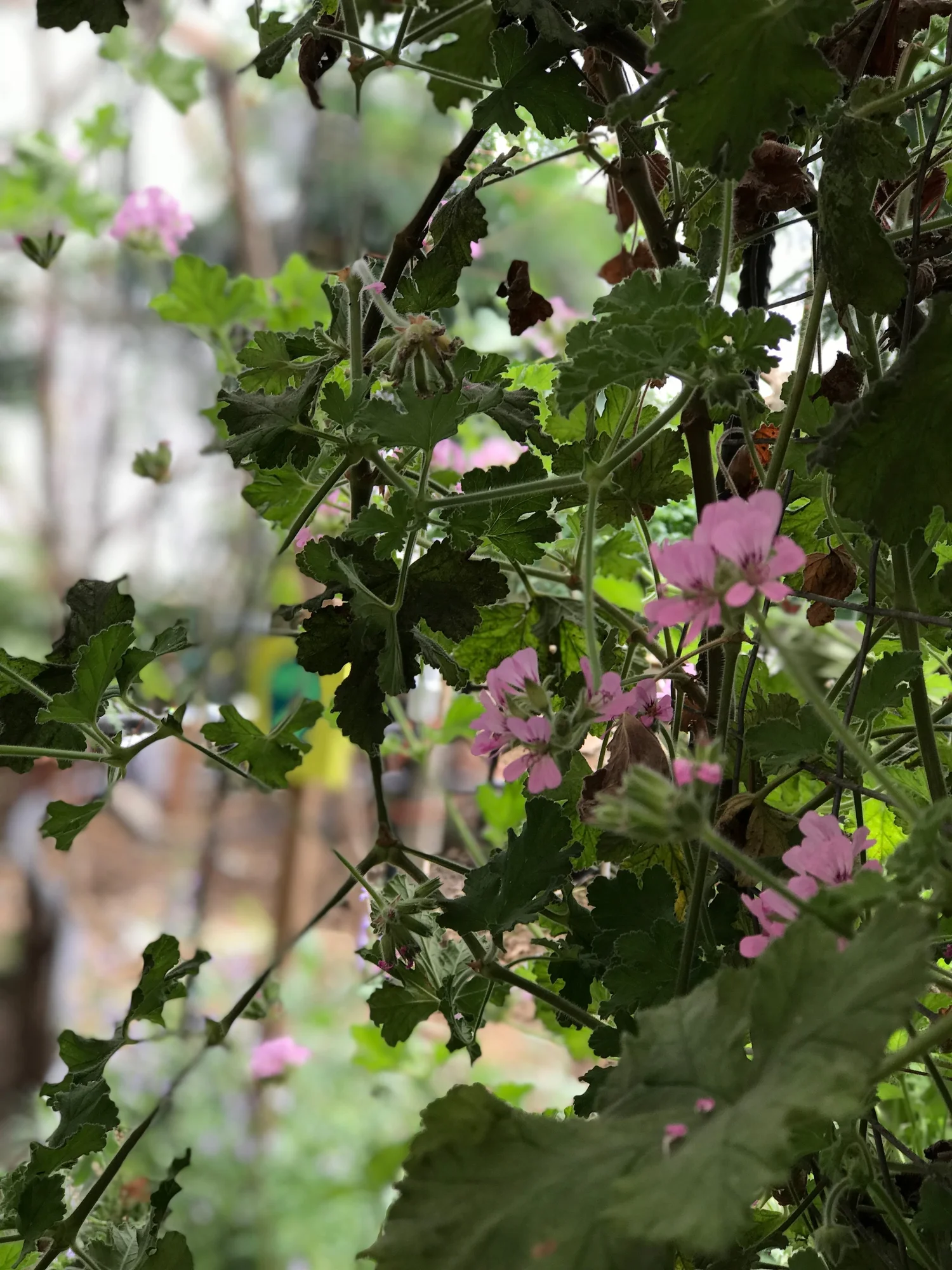 Home — Farm Collaborative