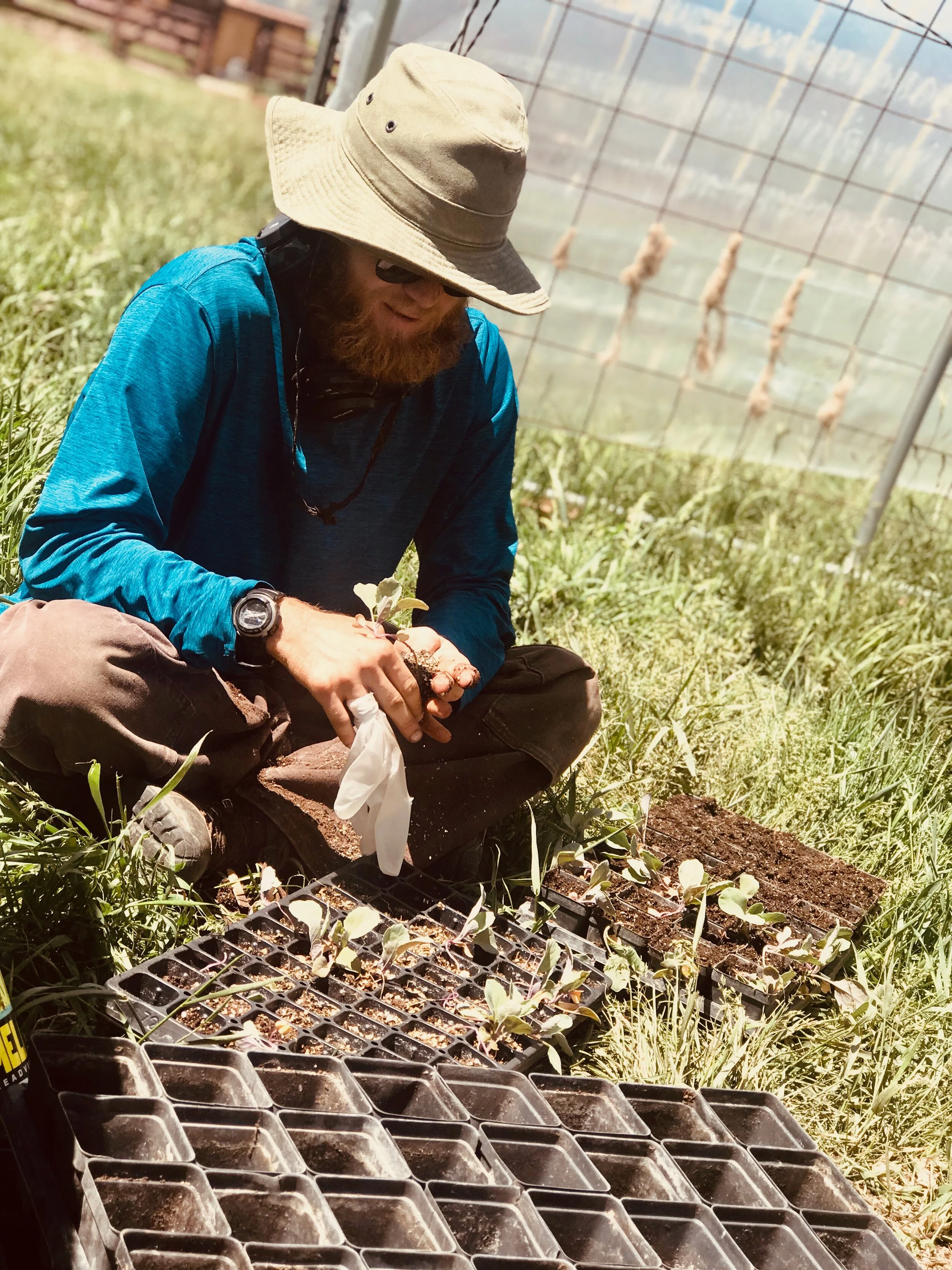 About Us — Farm Collaborative