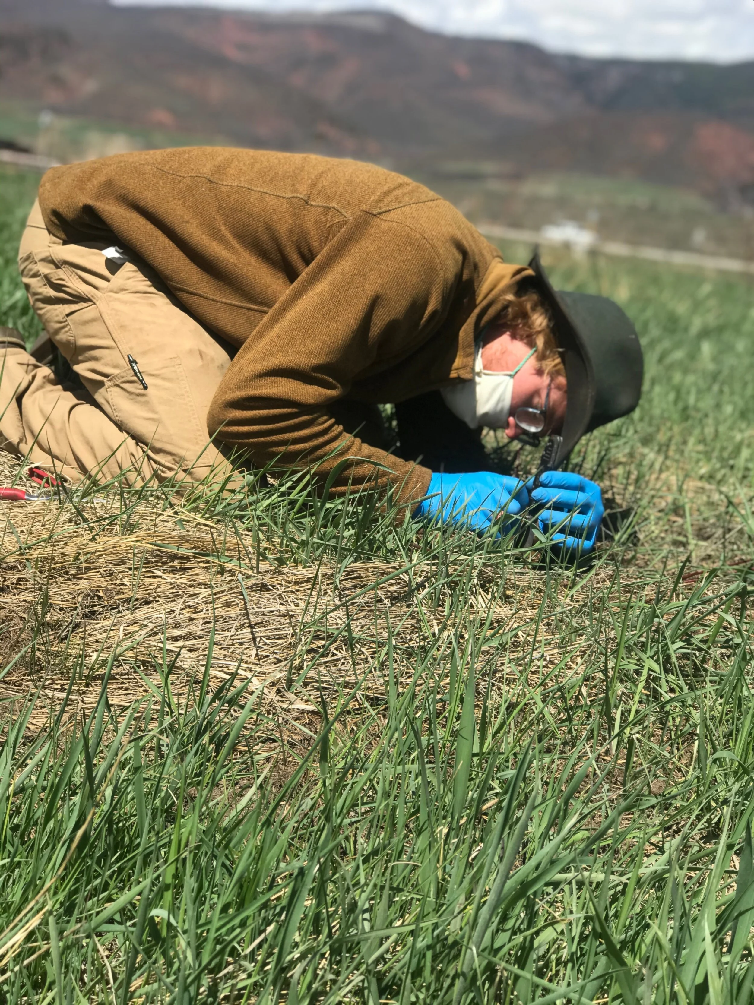 Work with Us — Farm Collaborative