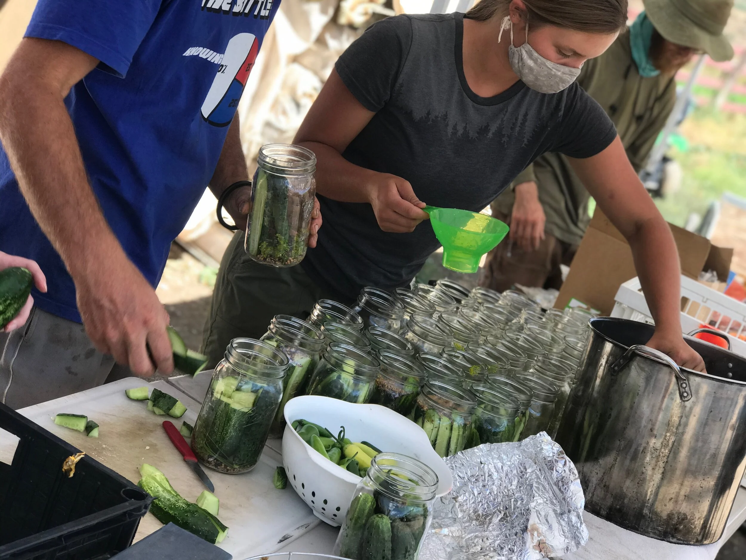 Work with Us — Farm Collaborative