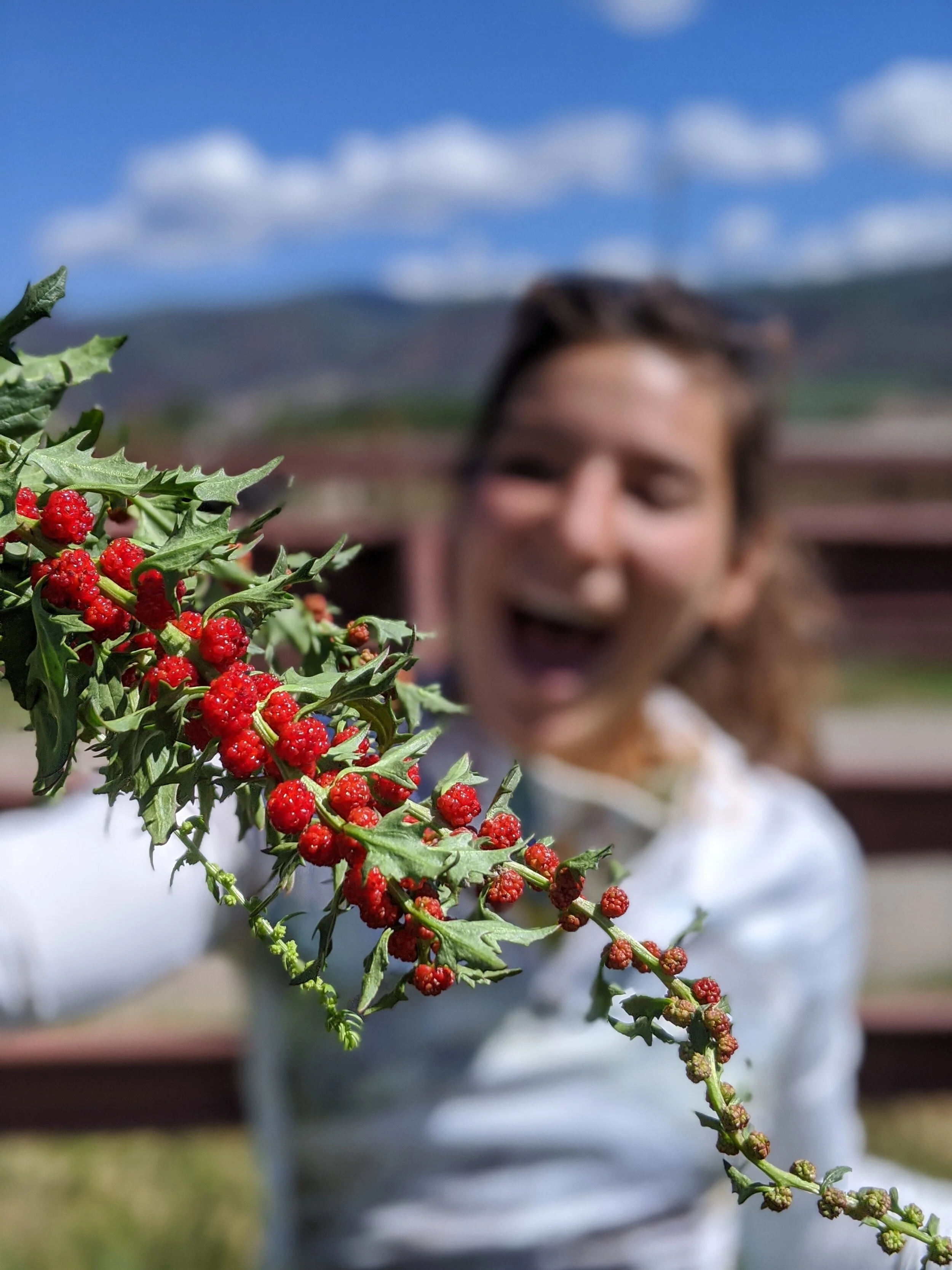 Work with Us — Farm Collaborative