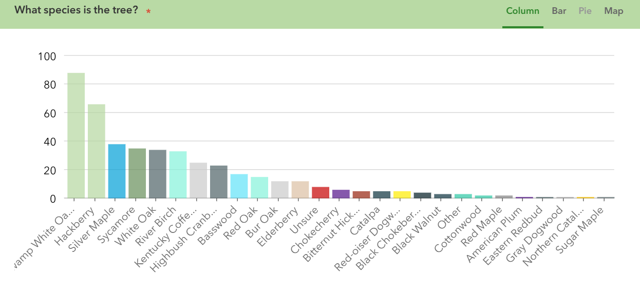Tree Survey 2024 Overview — Mississippi Park Connection