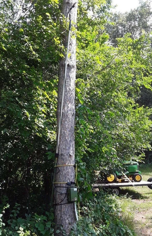 Introducing Savanna — Mississippi Park Connection