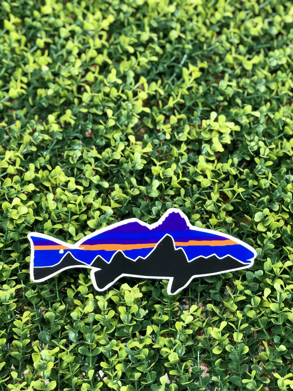 Patagonia Fish Sticker