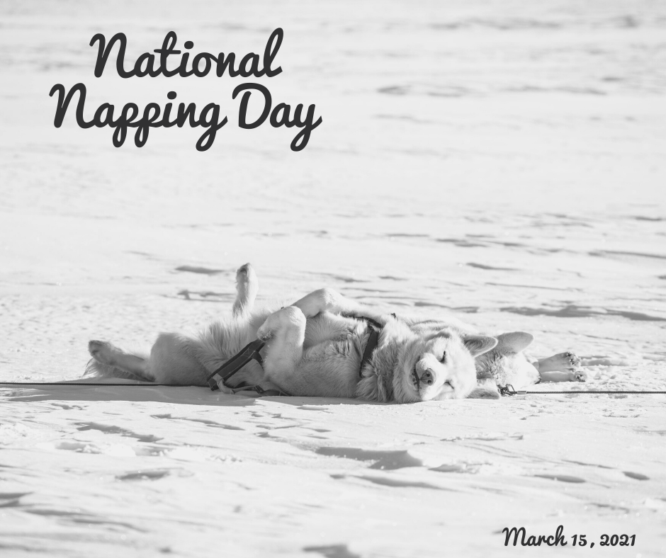 National Napping Day — The Travel Content Club