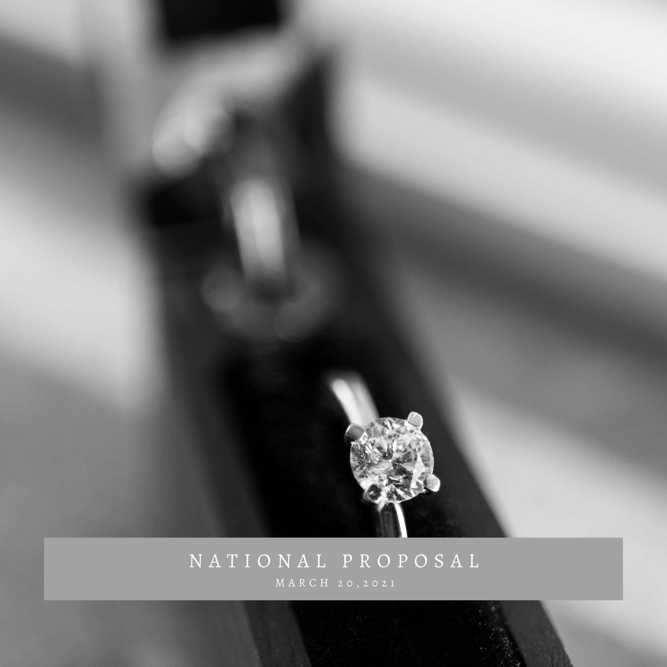 National Proposal Day — The Travel Content Club