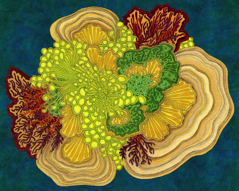 Biological-Based Studies — Anna Jack (AJ) Shelburne Anna Jay Matejcek