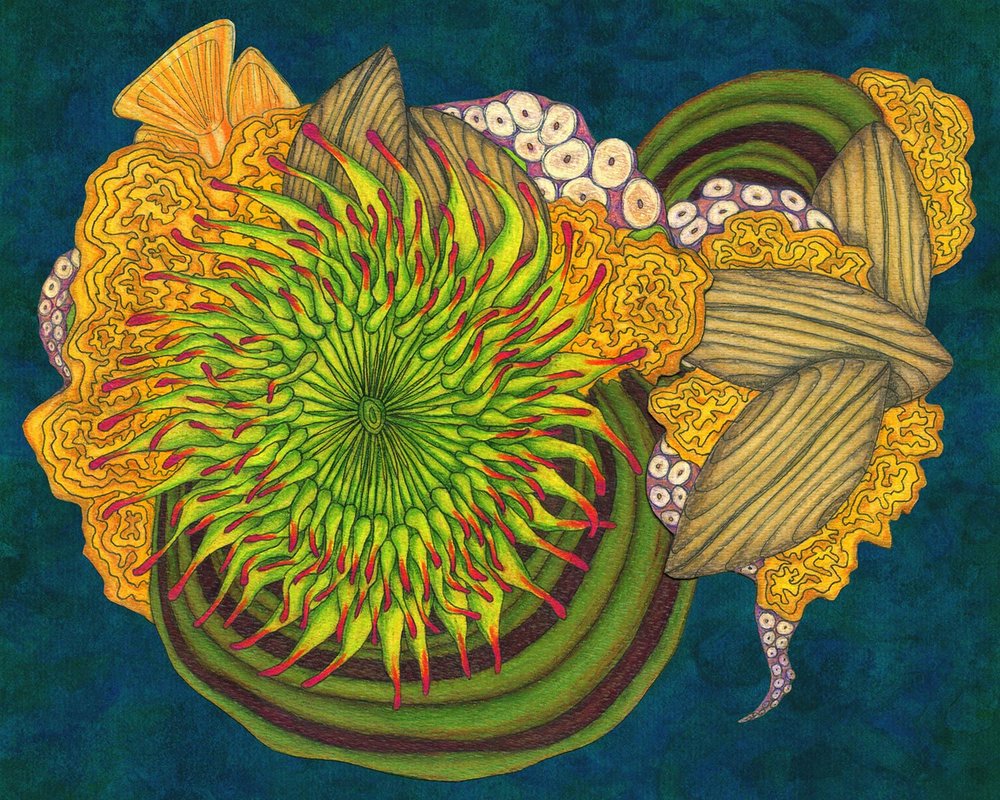 Biological-Based Studies — Anna Jack (AJ) Shelburne Anna Jay Matejcek