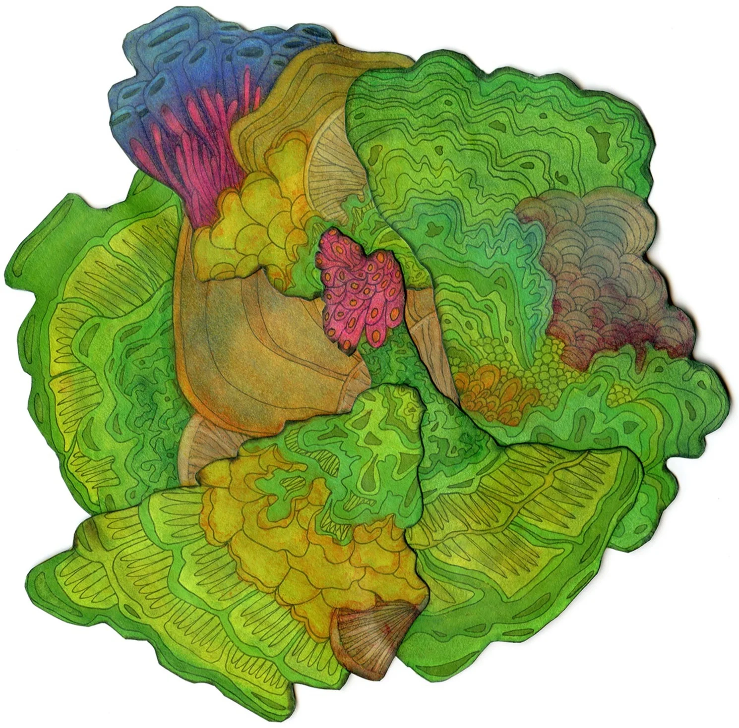 Biological-Based Studies — Anna Jack (AJ) Shelburne Anna Jay Matejcek