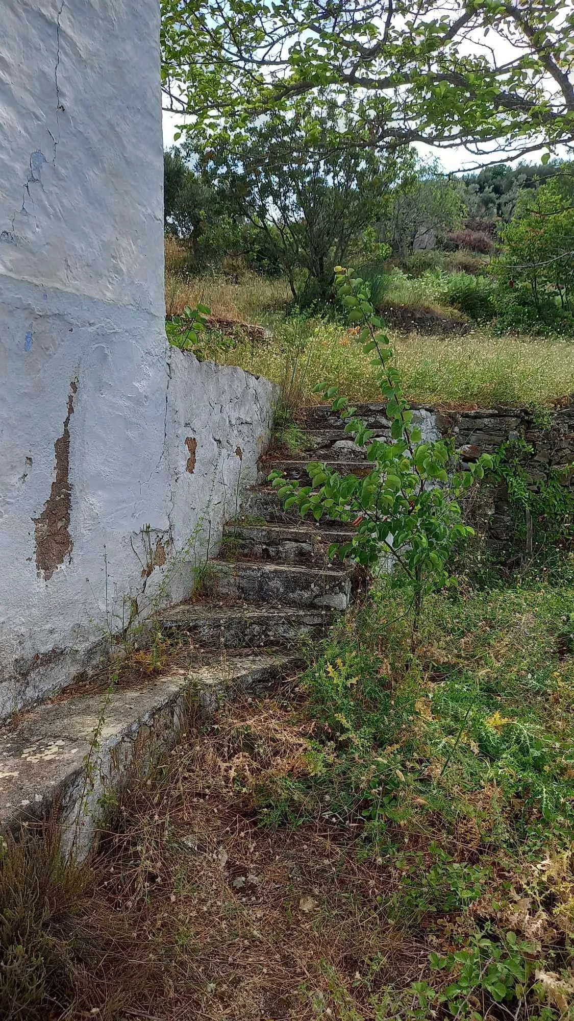 Farmhouse with a big piece of land — Skopelos Dream Properties for sale