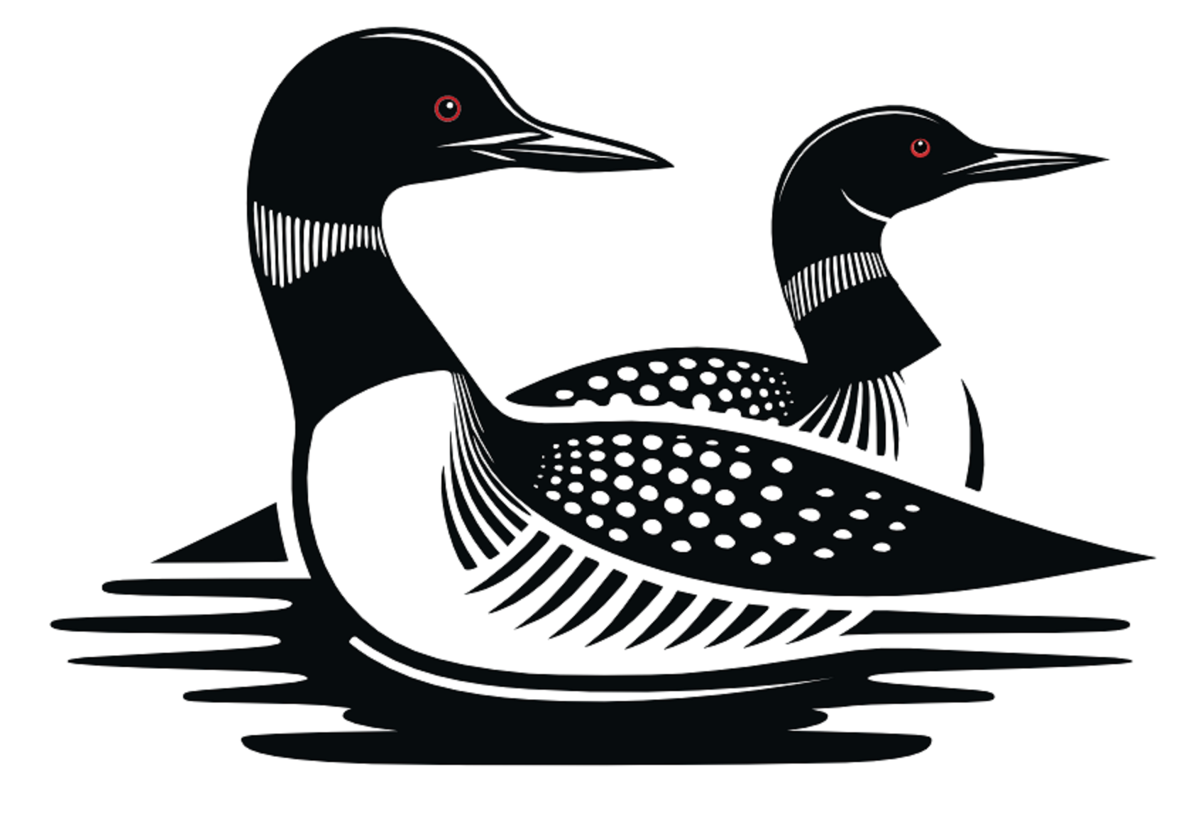 Two Loons