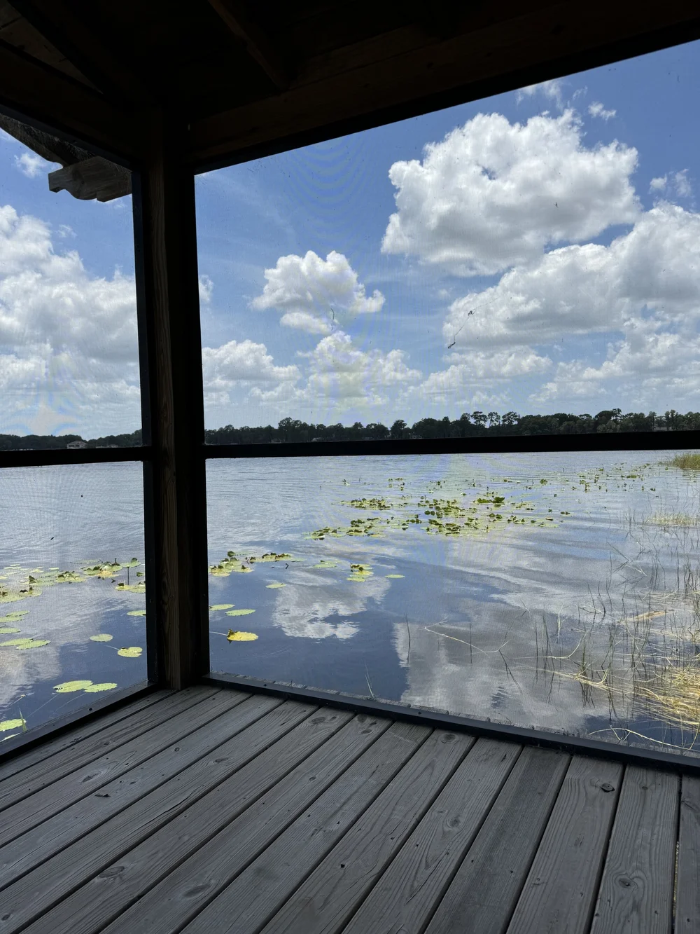 James Swain | James Swain Author