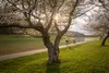 Bike Trail Maps — BIKE ATHENS OHIO
