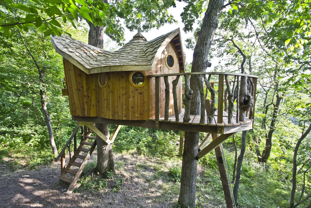 Projects — STANDING CEDARS WORKSHOP