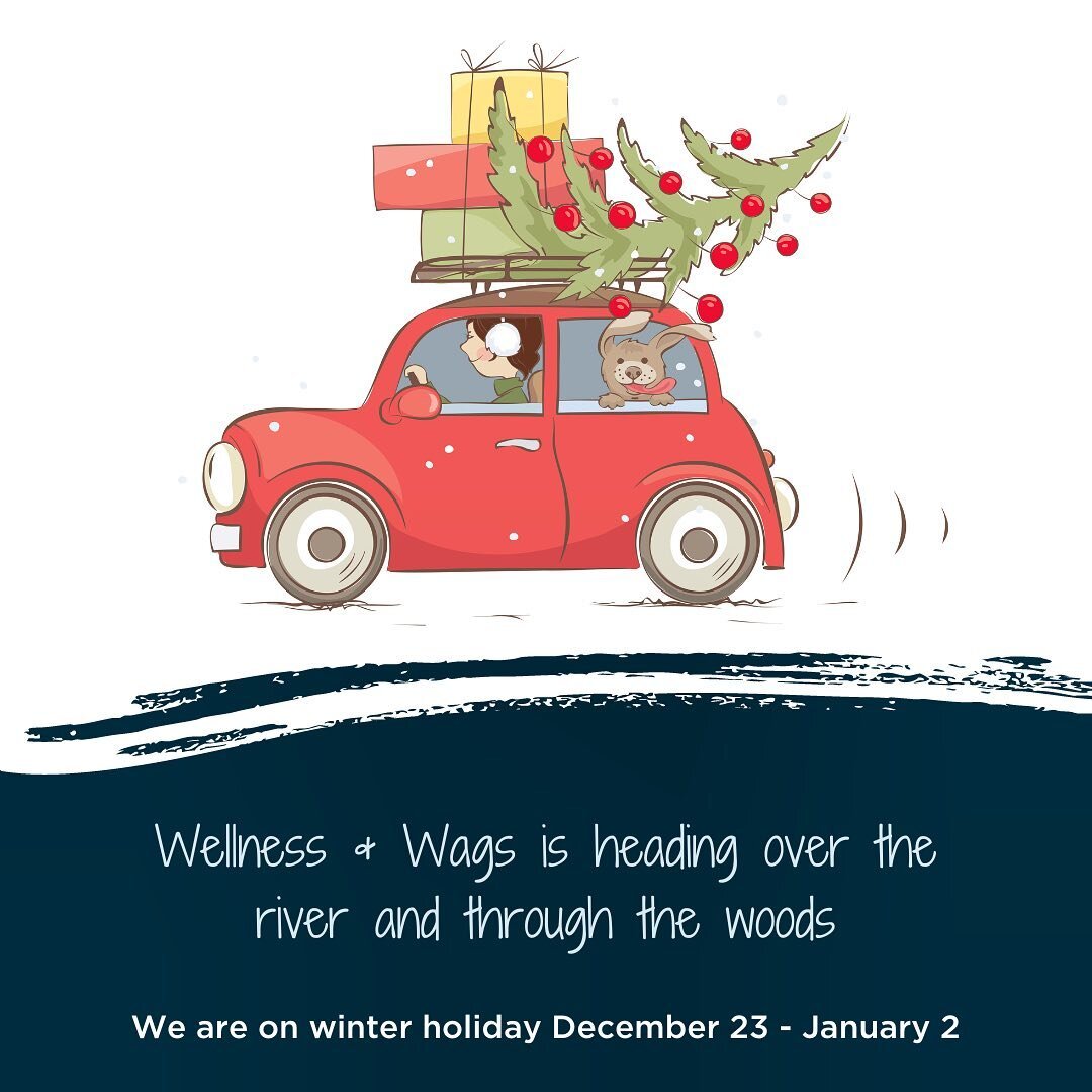 Wellness & Wags | Canine Massage Therapy in Chicago, IL