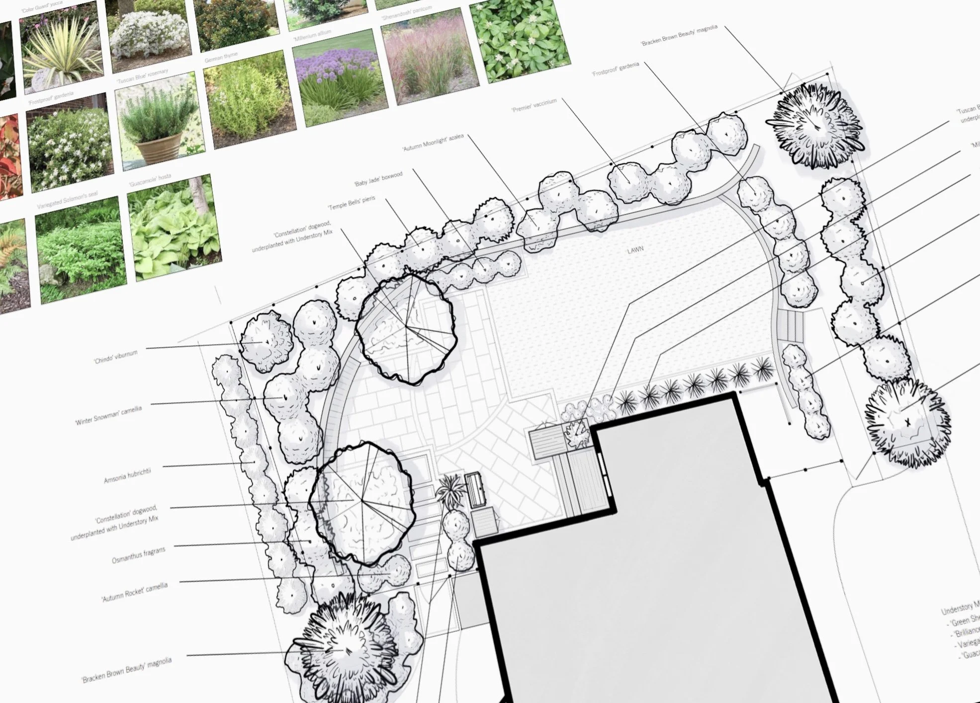 Design Process — TerraFina Landworks