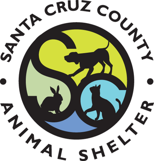 Santa Cruz County Animal Shelter Foundation