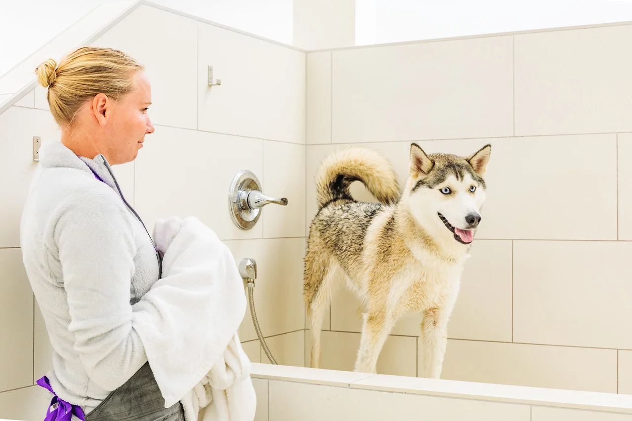 Pampered Pup