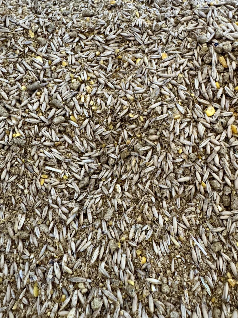 Bulk Pick Up — J&D of Lancaster Inc.