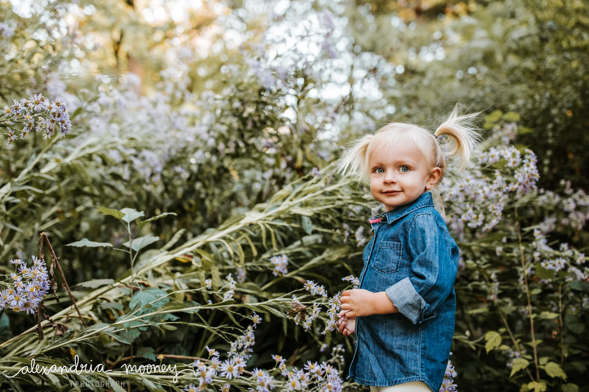 The Jackson Family: 10.22.2018 — Alexandria Mooney Photography