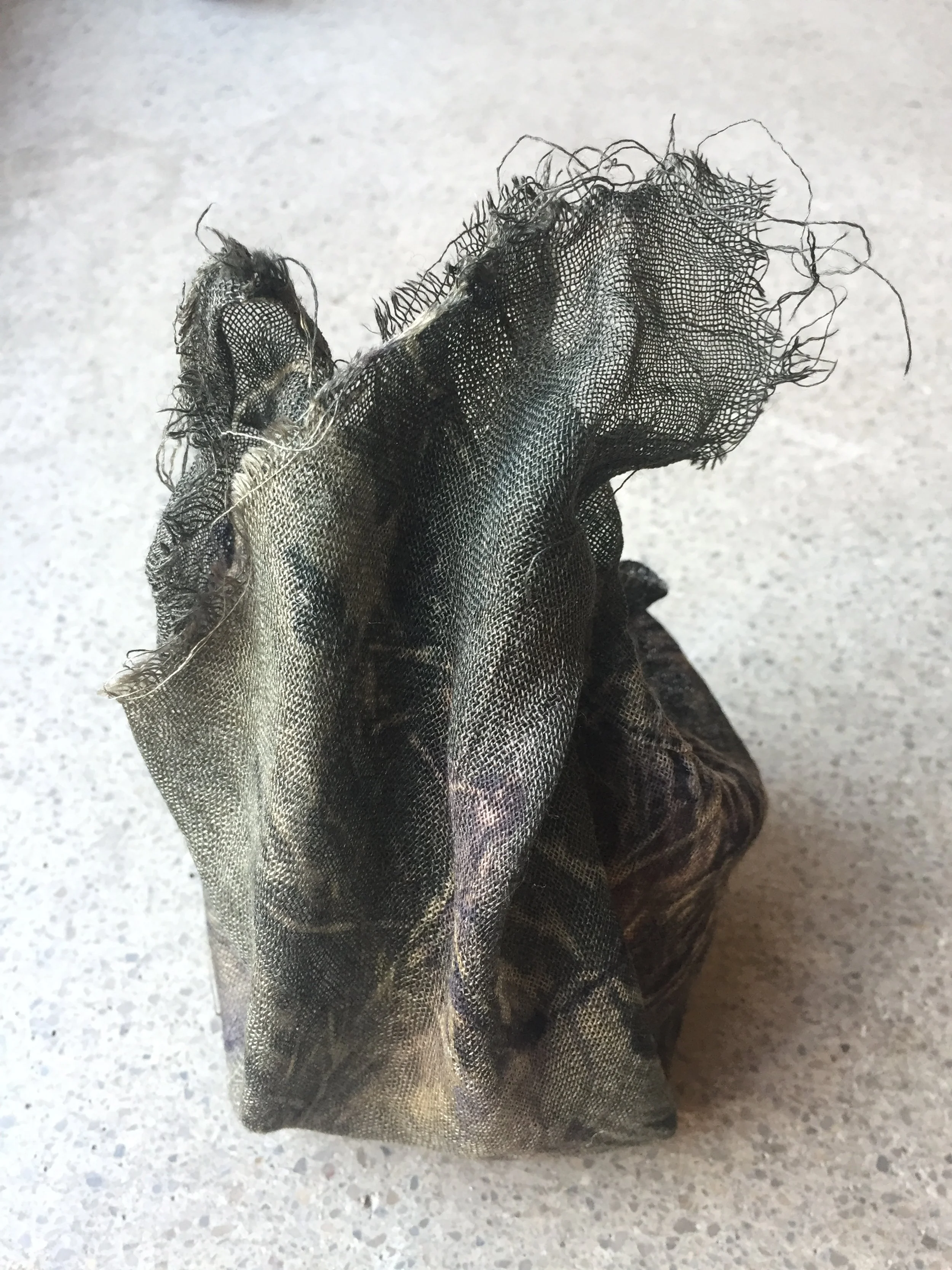 Collab ESP — Open Studio 79 /2