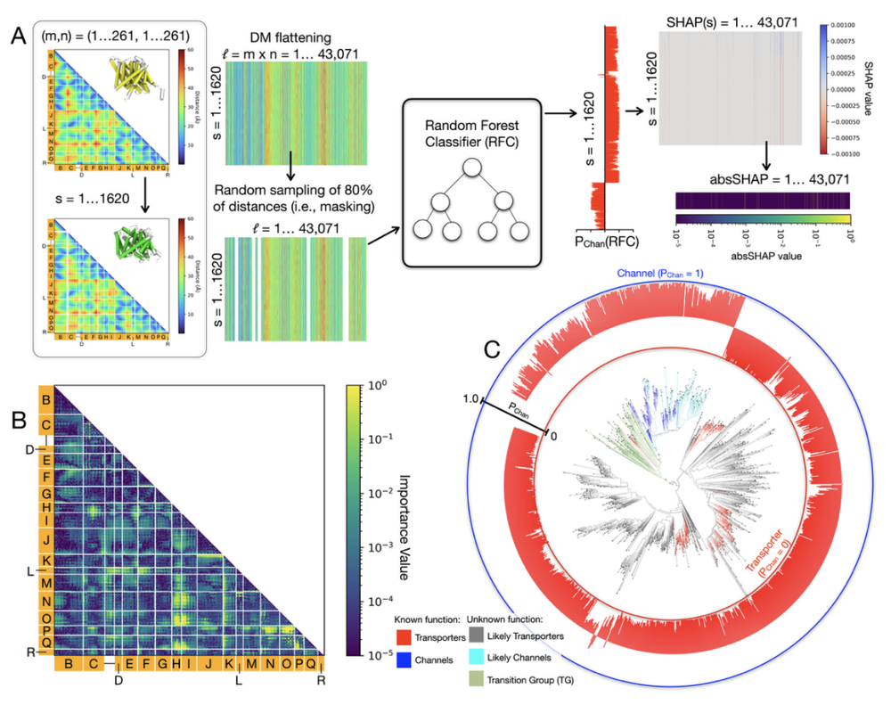 Publications — The Robertson Laboratory