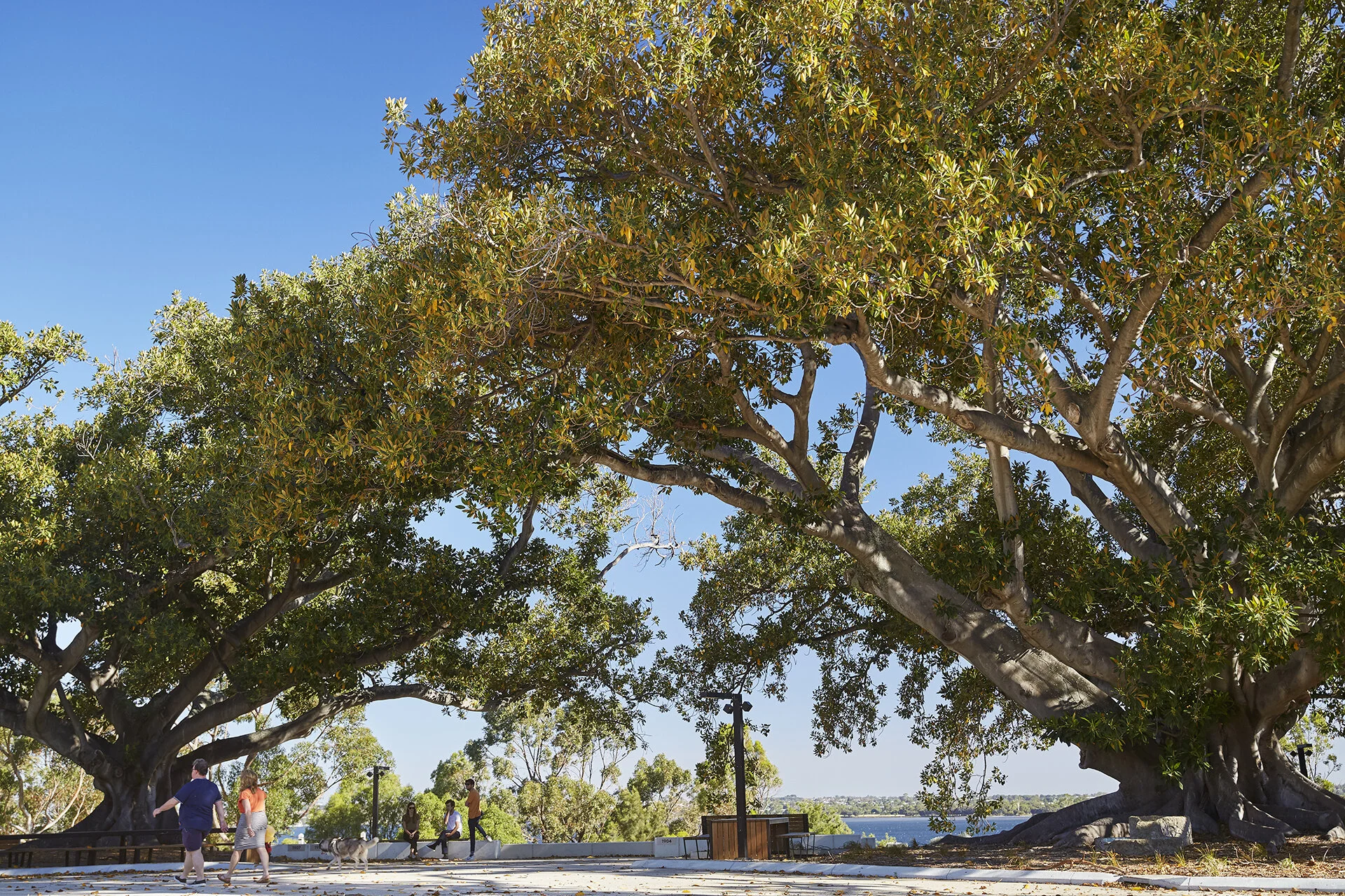 Sunset Heritage Precinct — Projects