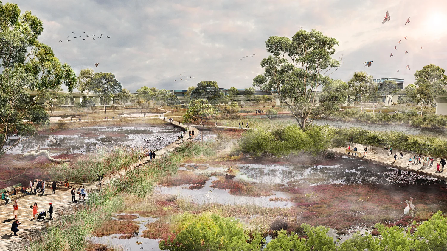 Landscape Plan Project