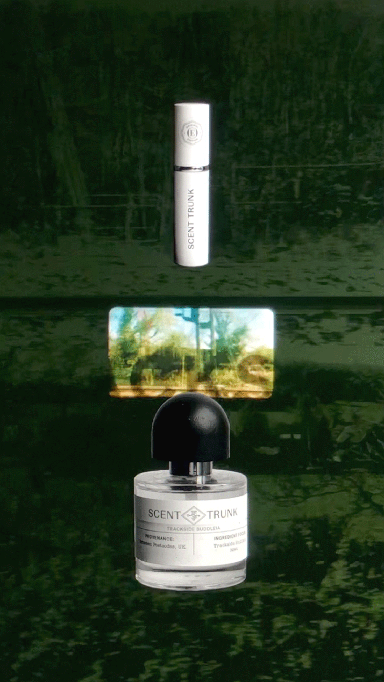 Demystifying Fragrance: Breathing More Colour, Memories and Persistence ...